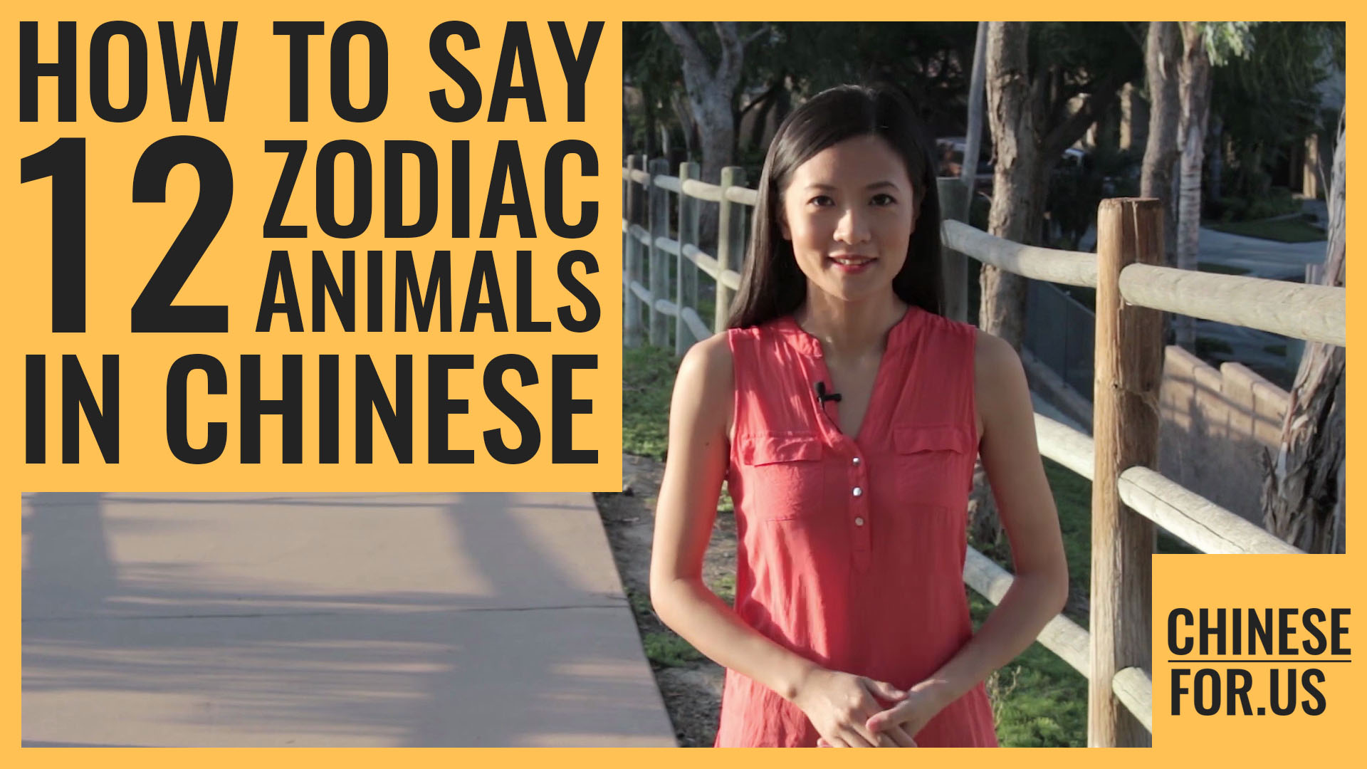 How to Say Chinese Zodiac Animals in Chinese | Personality and Match